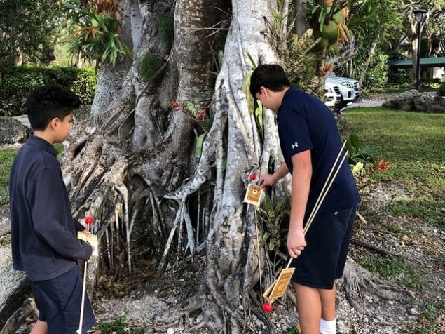 PTS science classes use QR codes in tree ID project | Featured#