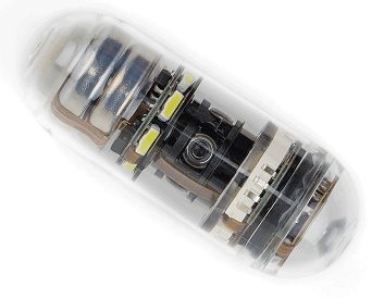 Gastro Health Adapts Care Delivery during COVID-19 with Use of Capsocam ...