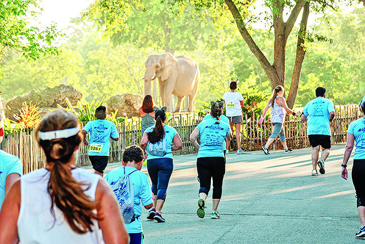WK Baptist Hospital, Zoo Miami join to host 10th annual ZooRun | Featured#