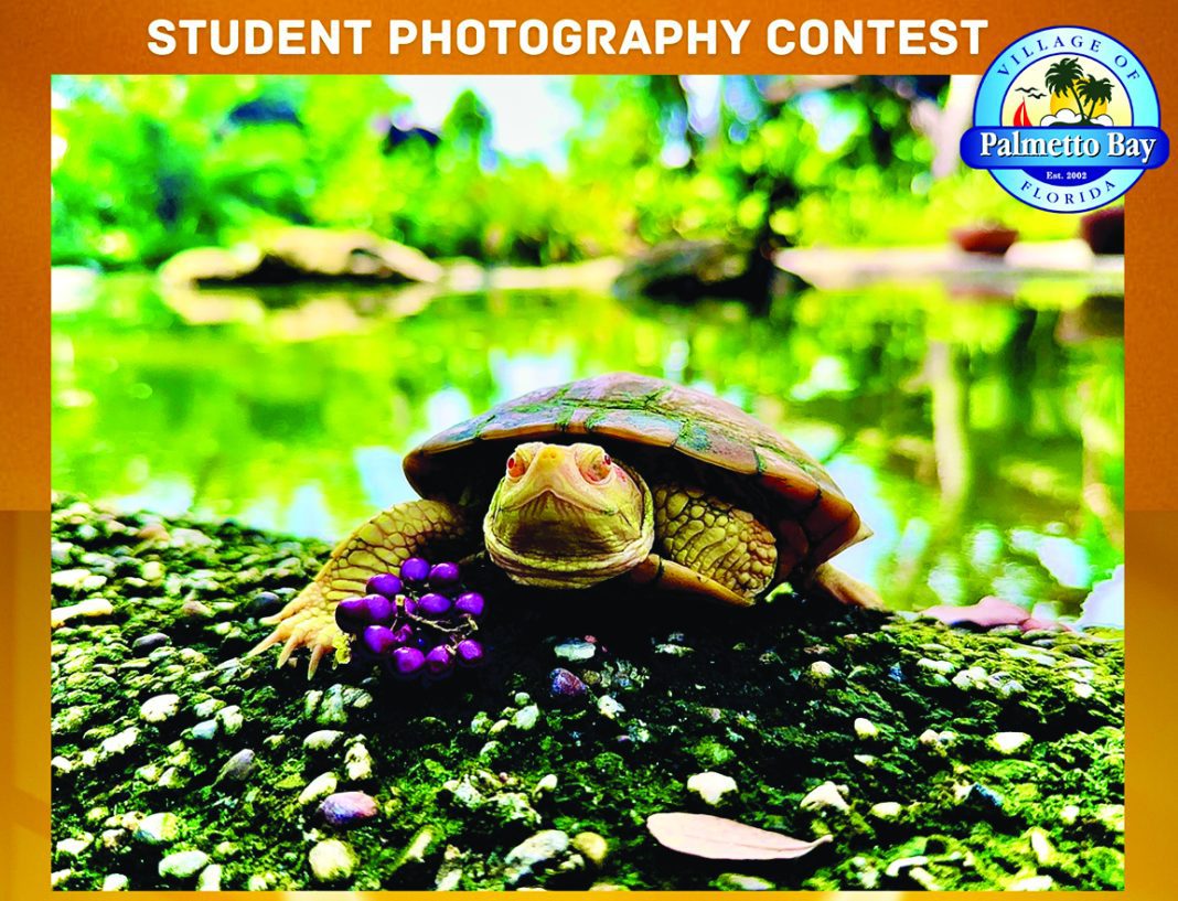 Village student photography contest winner announced | Featured#