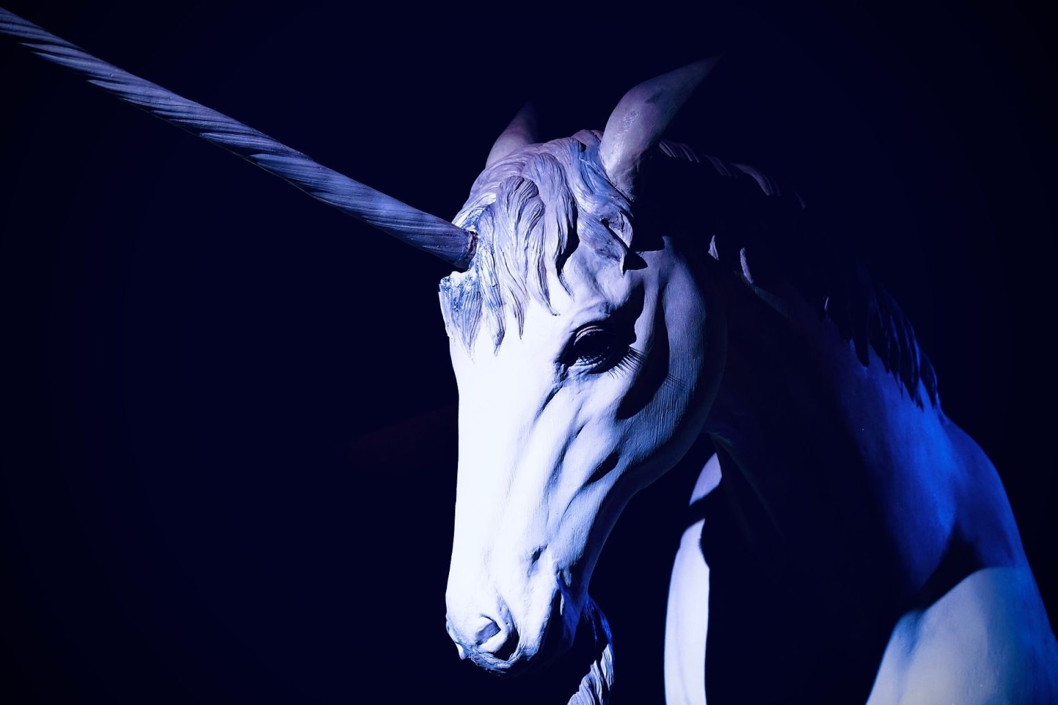 HistoryMiami Museum Ferries Visitors to a Fantastical Land for the ...