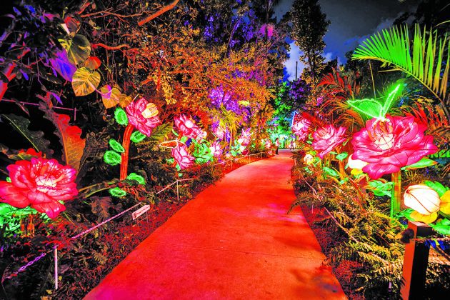 Jungle Island lights Miami nights with dazzling return of Luminosa ...