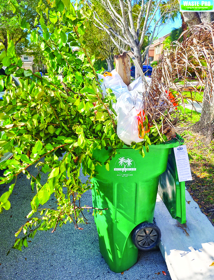 SOLID WASTE RECYCLING AND BULK COLLECTION GUIDELINES | Featured#