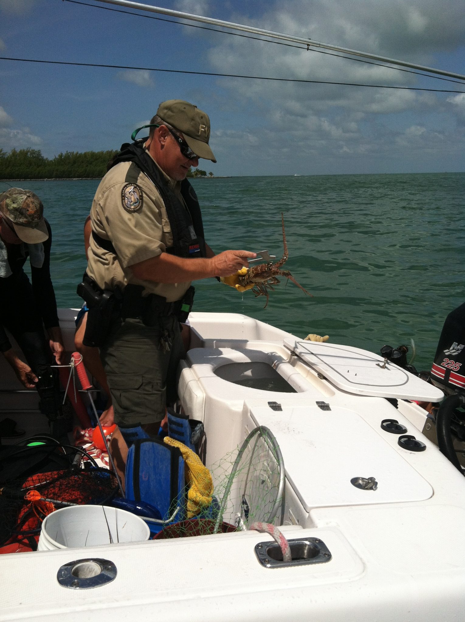 Florida spiny lobster season is officially open! | Biscayne Bay Tribune#